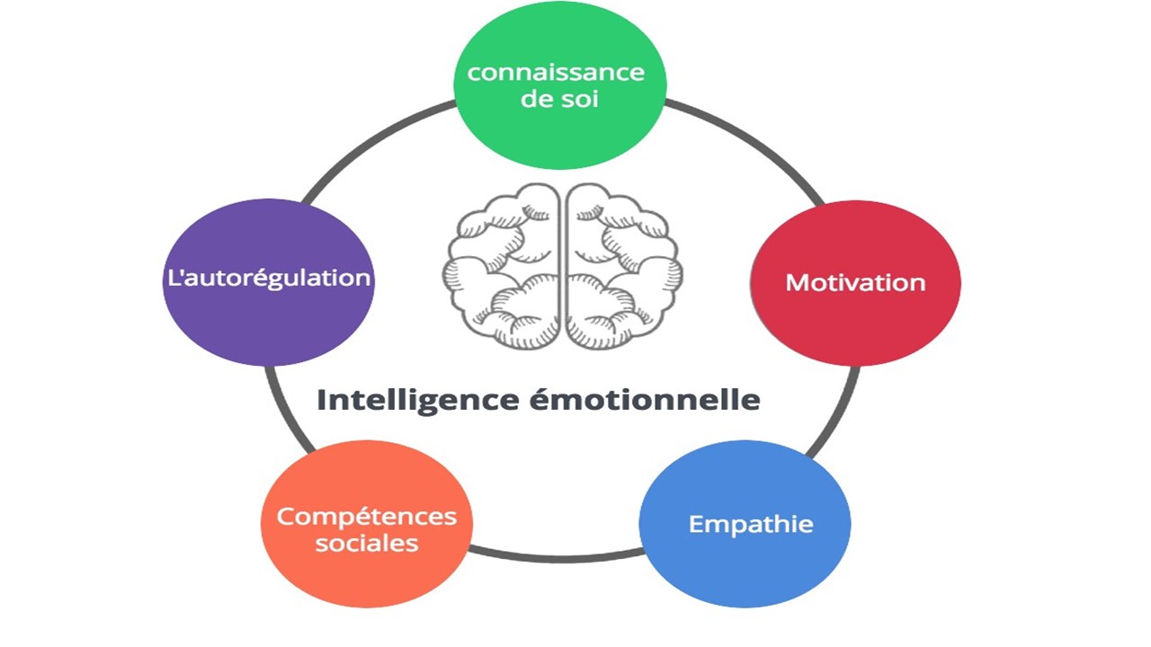Développement professionnel et management: que faire de nos émotions ...